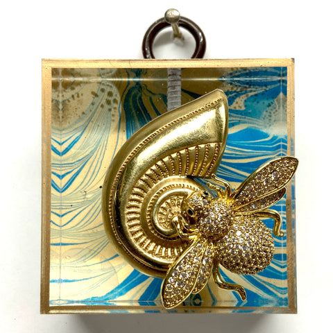 Rare Bees – Museum Bees