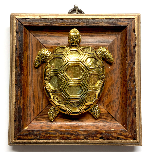 Wooden Frame with Turtle (4" wide) – Museum Bees