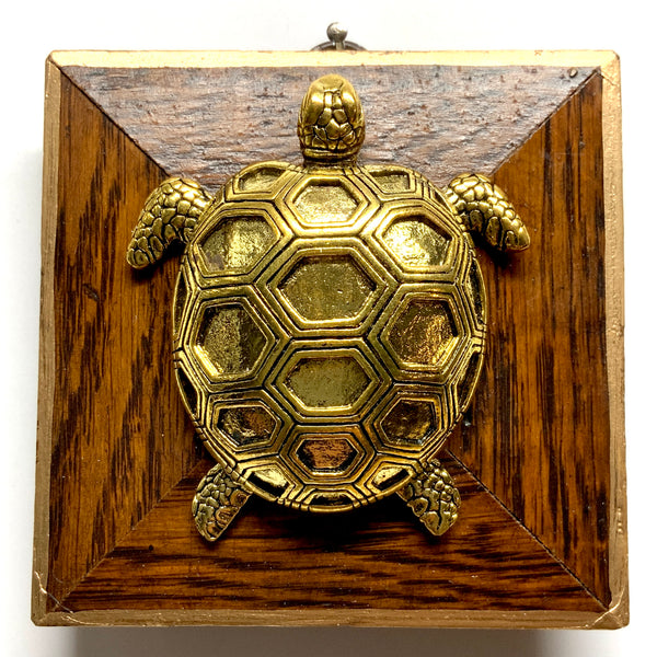 Wooden Frame with Turtle (3.75" wide) – Museum Bees