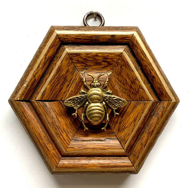 Wooden Frame with Grande Bee (4.5" wide) – Museum Bees