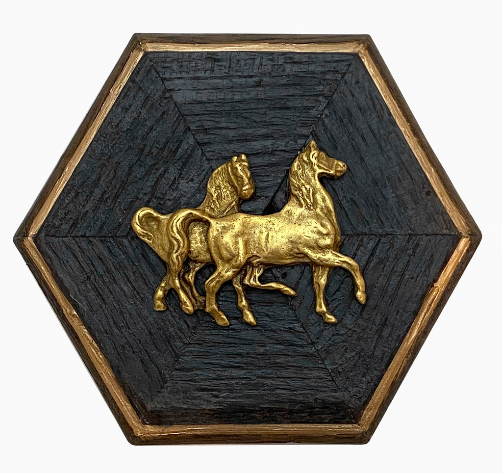 First Edition Hardcover Book Museum Bees by Trace Mayer